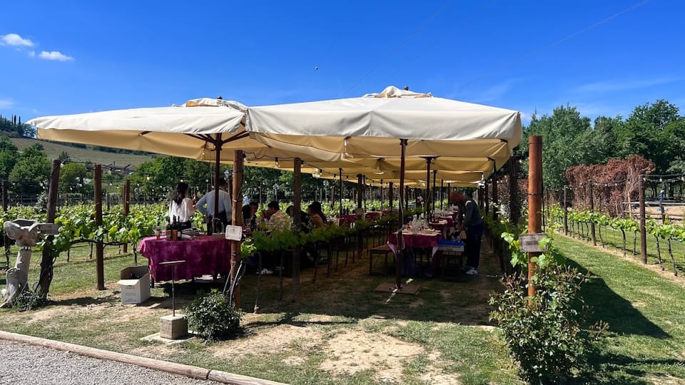 The 5 Best Rome Winery Tours [2025 Reviews] | World Guides To Travel