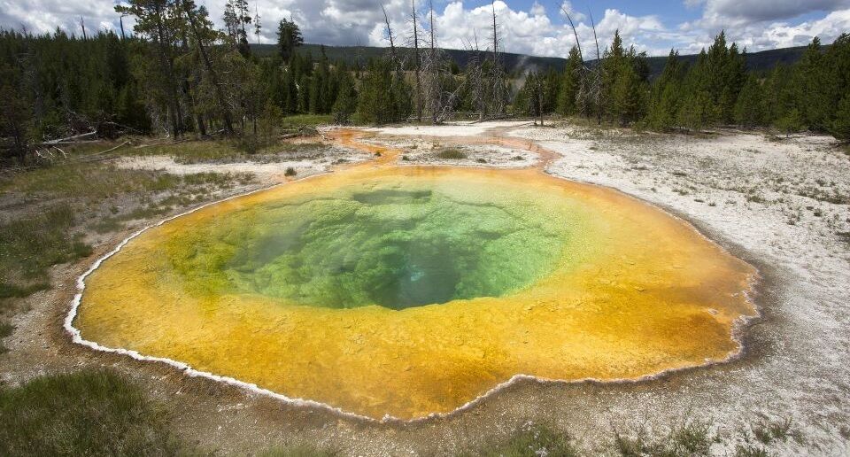The 7 Best Yellowstone Tours From Jackson [2026 Reviews] | World Guides ...