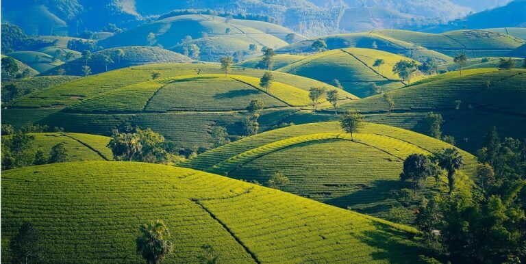 The 5 Best Ha Giang Loop Motorbike Tours From Hanoi [2026 Reviews ...
