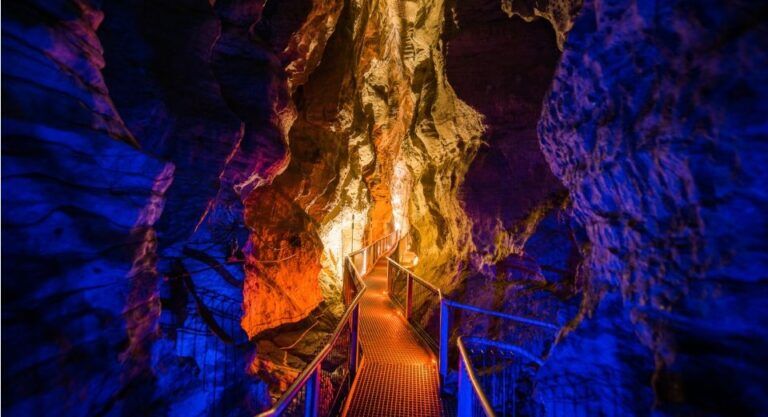 The 5 Best Waitomo Caves Tours [2025 Reviews] | World Guides To Travel