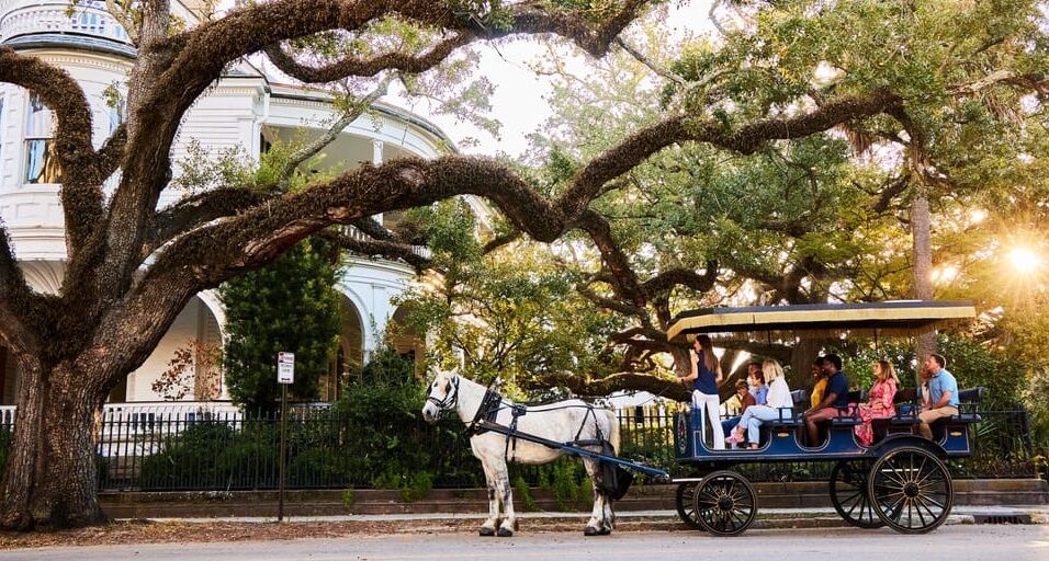 The 5 Best Charleston Horse Carriage Tours [2026 Reviews] | World ...